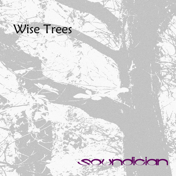 Wise Trees | SOUNDICIAN