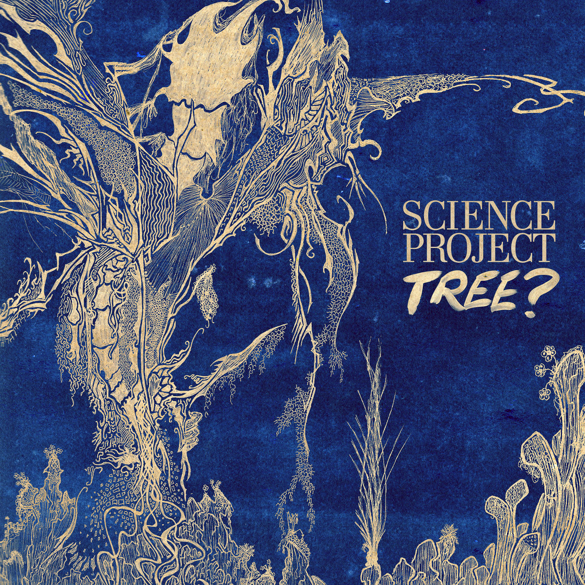 Tree? | Science Project