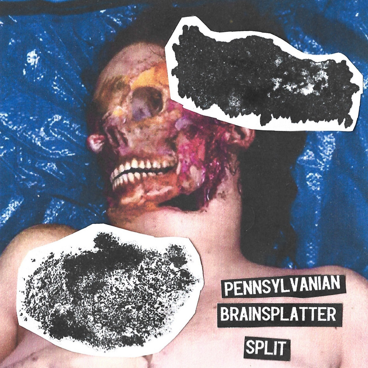 PENNSYLVANIAN BRAINSPLATTER SPLIT - SPLIT W/ CYSTOLEPTODYSTOSTOSIS ...