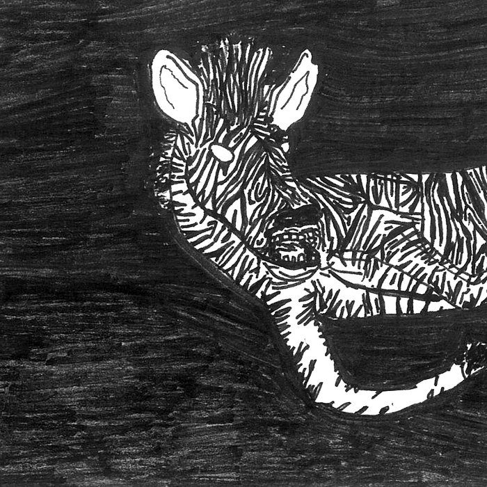 Sheena the Zebra | Sheena la Cebra