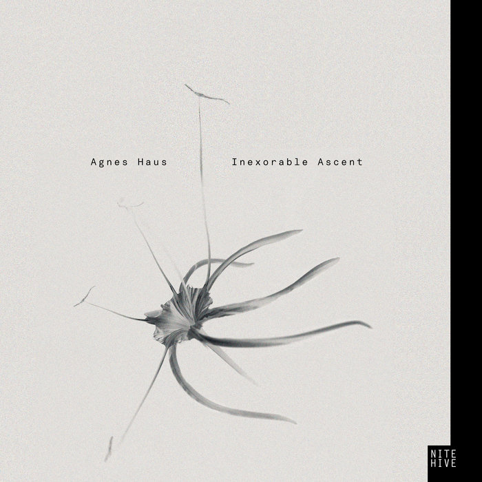 Inexorable Ascent | Agnes Haus