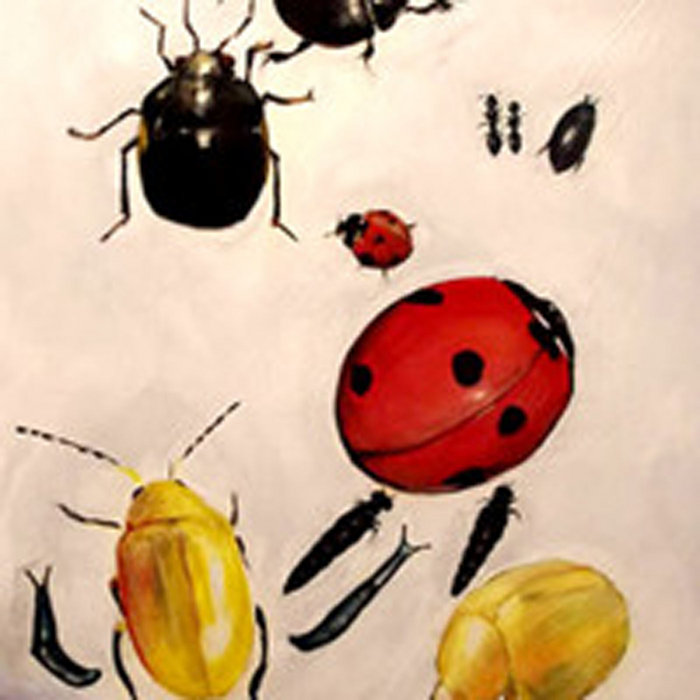 Dancing Beetles | Stephen Thomas
