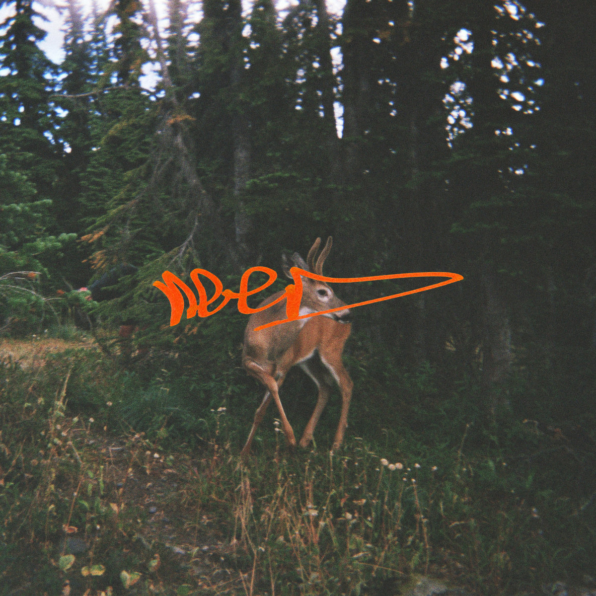 Need | Nine Deer