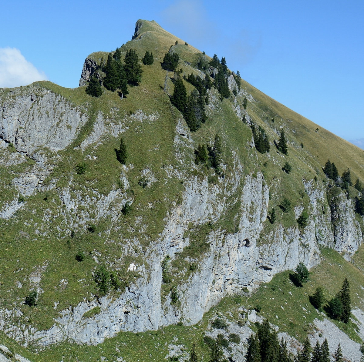 Motivation and Purpose | Sharon Stiles (Mind Blocks Sorted)