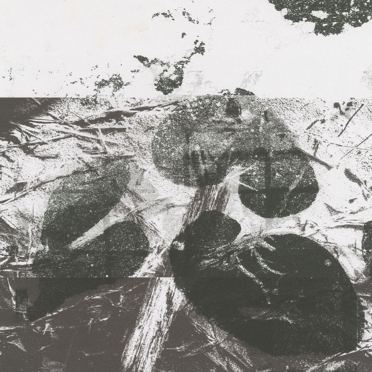 Regressions LP | Numb.er