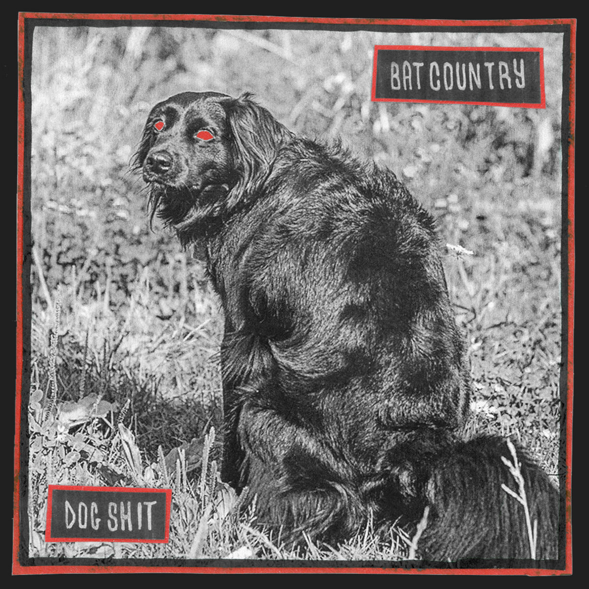 Dog Shit | Bat Country | Dead Camel Records