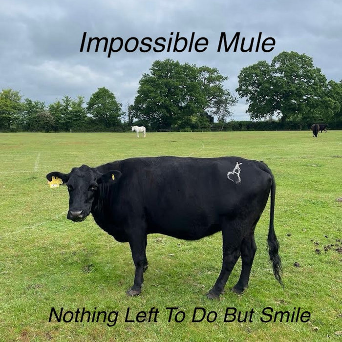 Nothing Left To Do But Smile | Impossible Mule