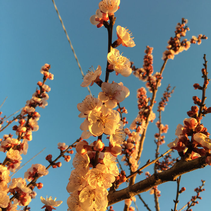 Michael Gray - Borderline (Club Mix - Dukwa "eightOeight" edit ) | Dukwa