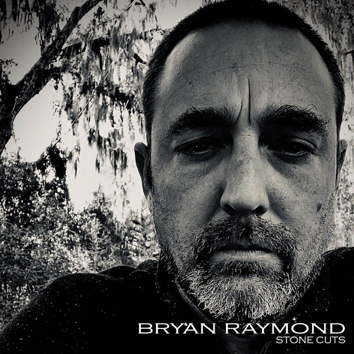 Stone Cuts | Bryan Raymond