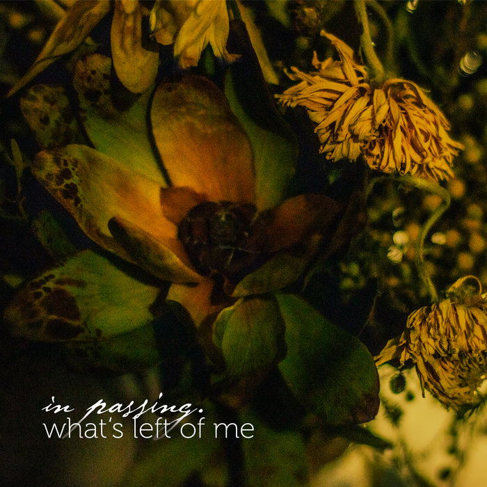 What's Left of Me | in passing.
