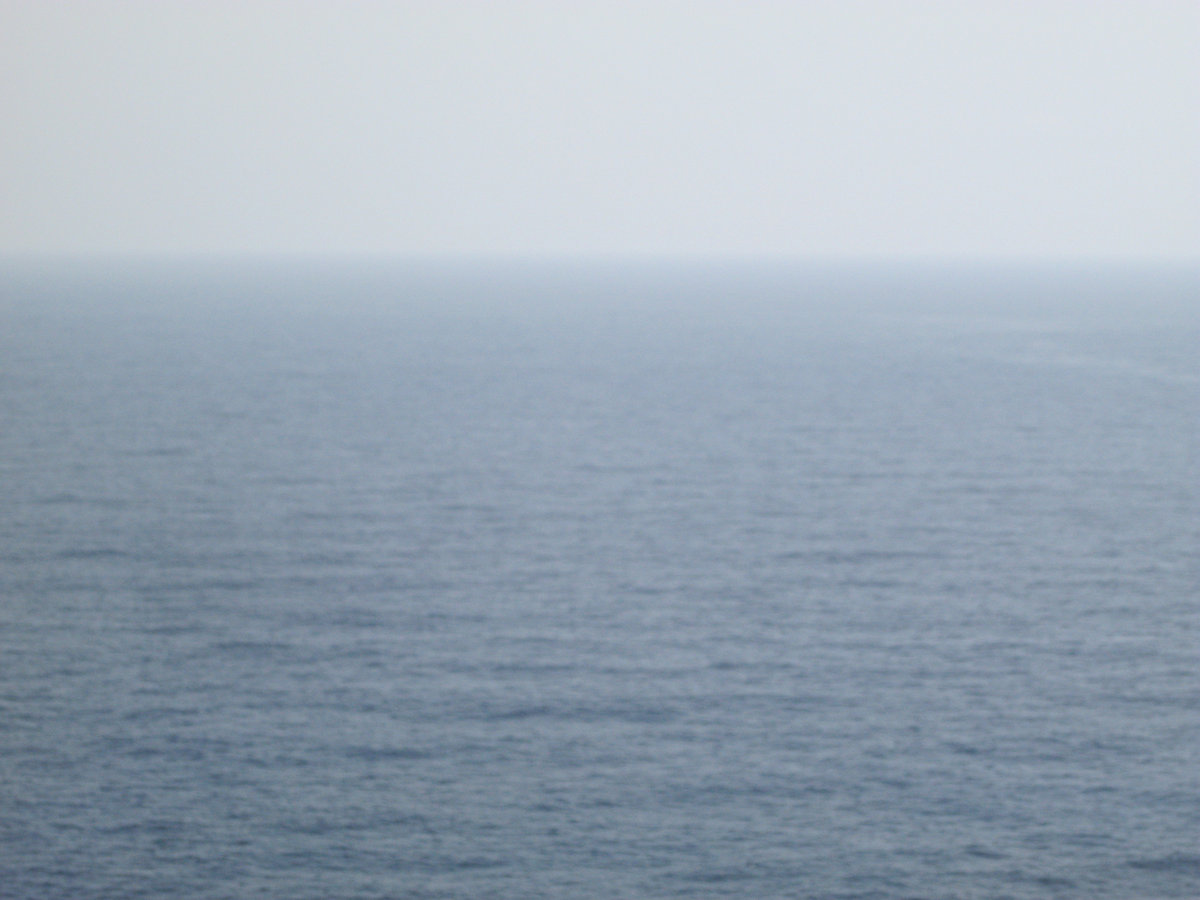 Zone1 | Roger Haddad