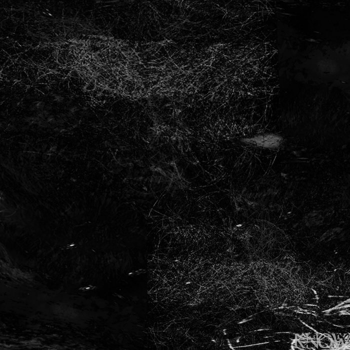 know what to expect | Internal Empty | Lackthrow