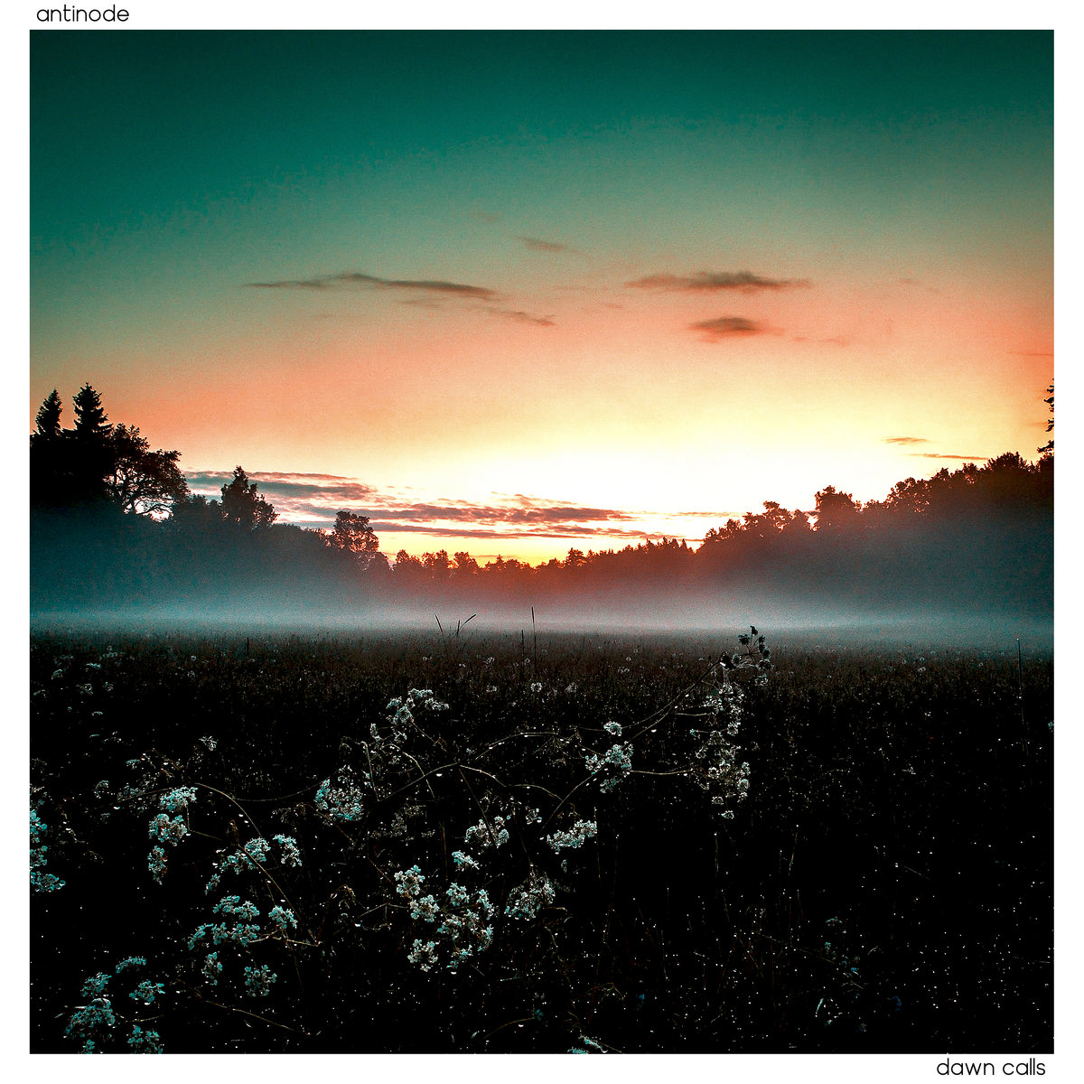 Dawn Calls | antinode | Jarp
