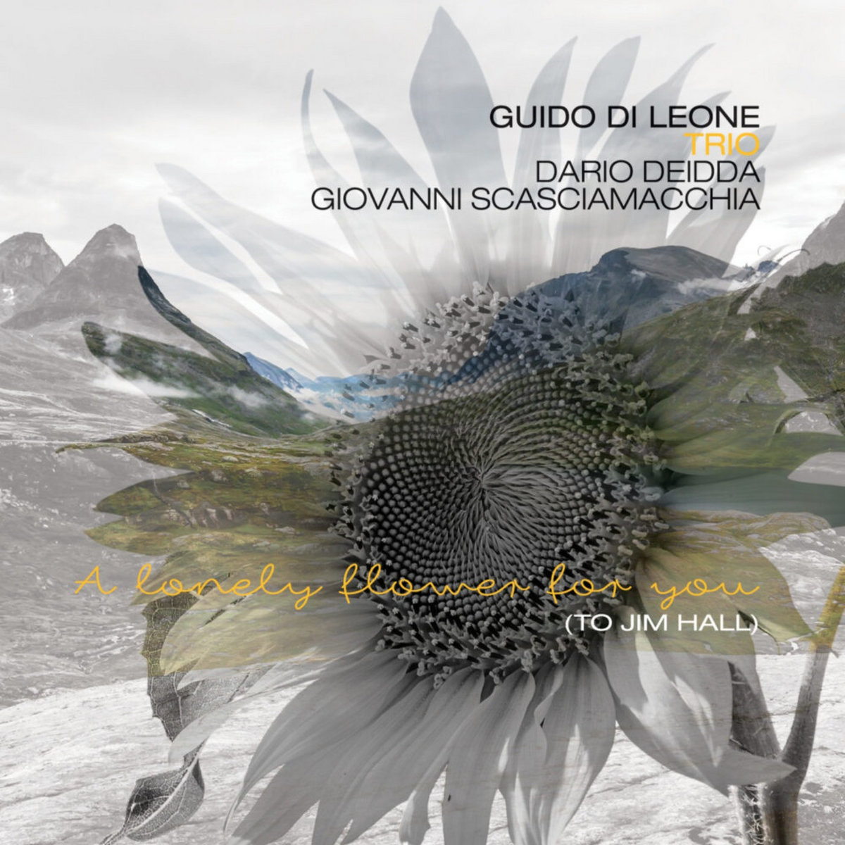 A Lonely Flower for You (to Jim Hall) | Guido Di Leone Trio, Dario ...