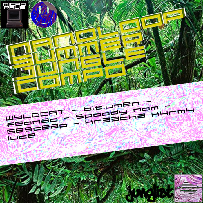 NANOLOOP SUMMER JUNGLIST COMPILATION | Various Artists | micro rave ...