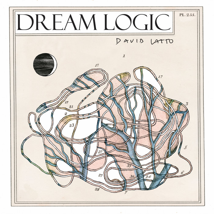 Dream Logic | David Latto