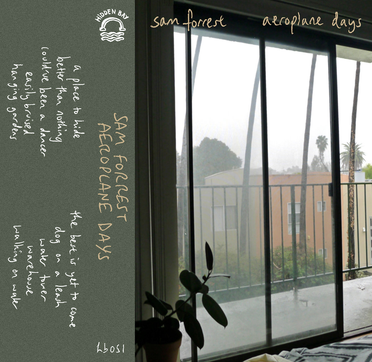 Aeroplane Days | Sam Forrest | Hidden Bay Records