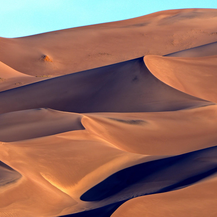 Shifting Sand | Scott Lawlor