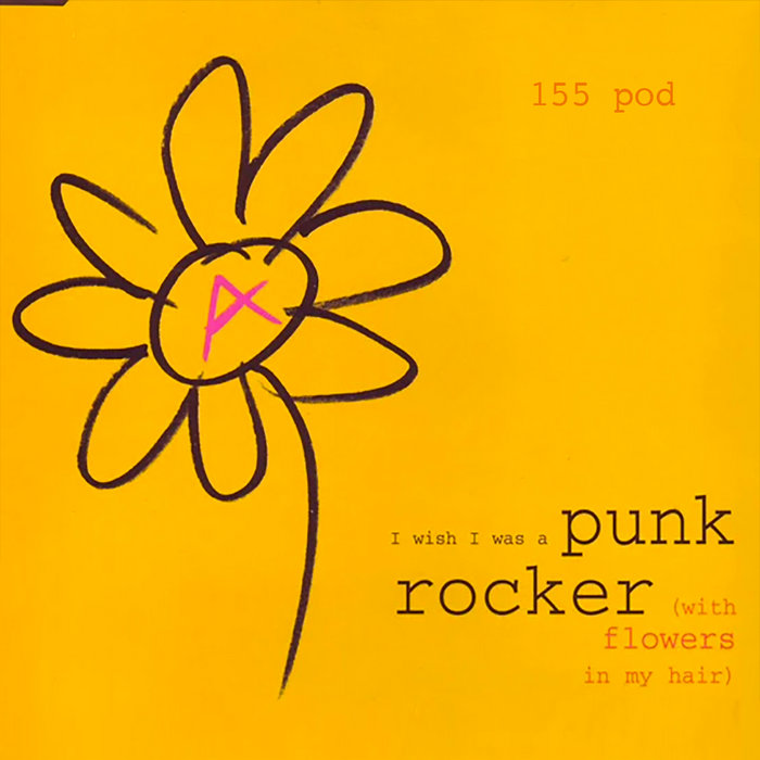 I Wish I Was a Punk Rocker with Flowers in My Hair | 155