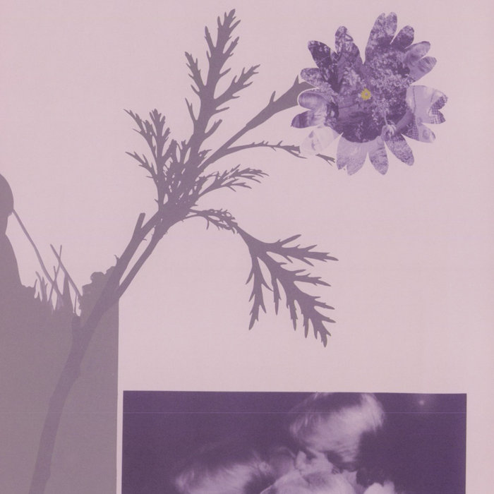 chico chatarra | Entidad Animada