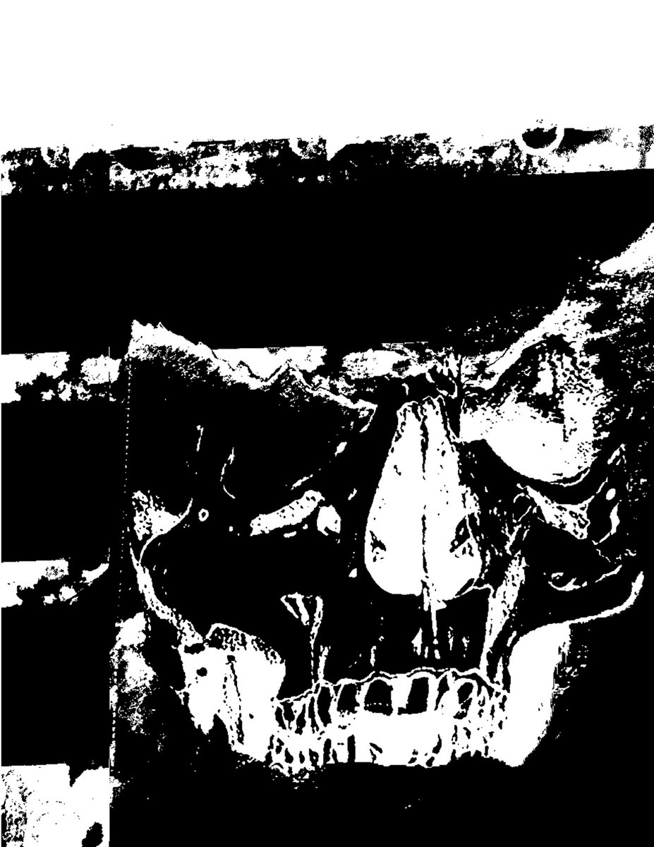 4-Way Split | Misnomr