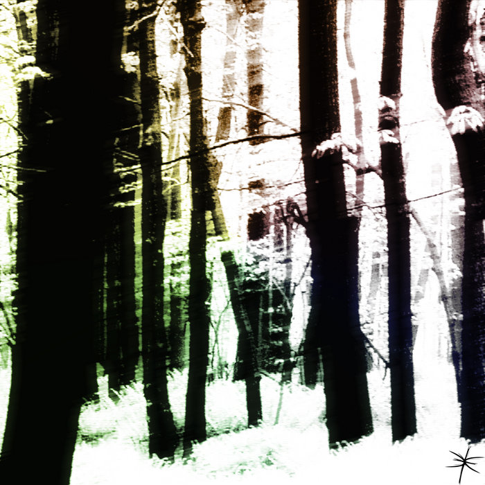 Collective | Infinity Syndicate