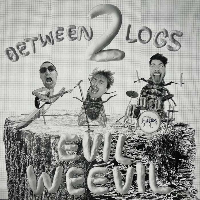 Between 2 Logs | Evil Weevil | Punk Valley Records