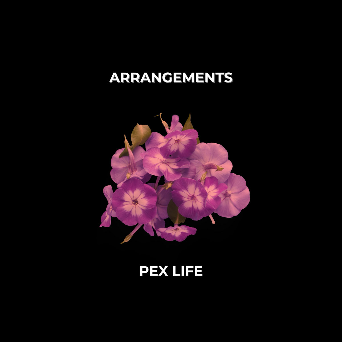 Arrangements | Pex Life | Wilmarck