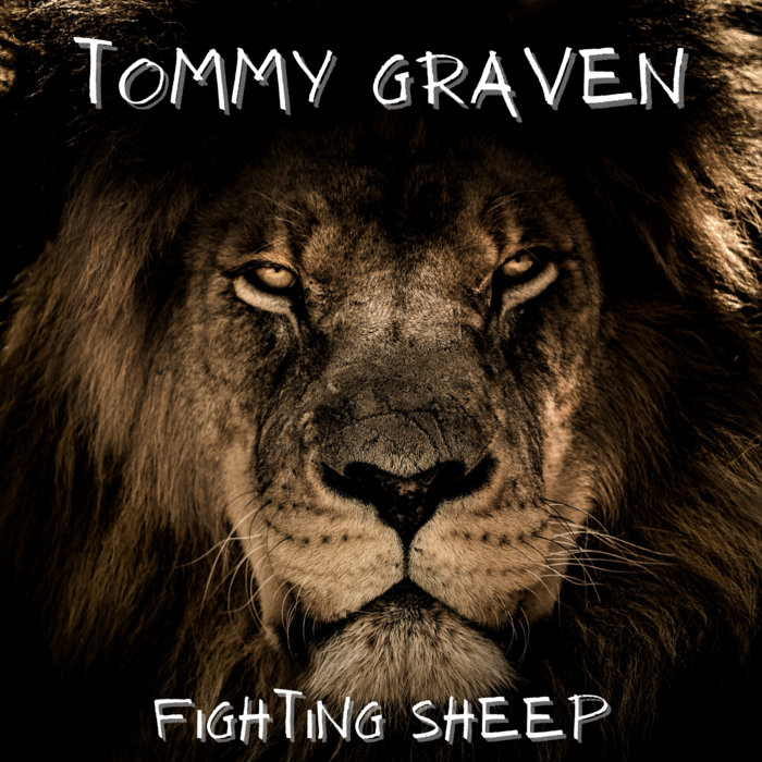 Fighting Sheep | Tommy Graven