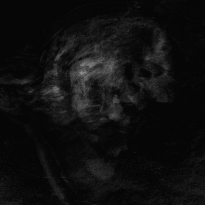 Tacent Semitae | Adaestuo