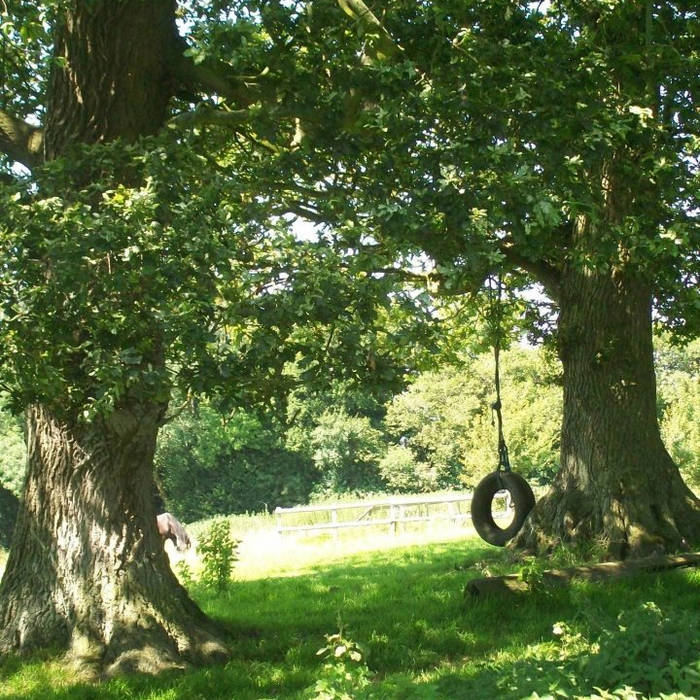 mrwillcox's collection | Bandcamp