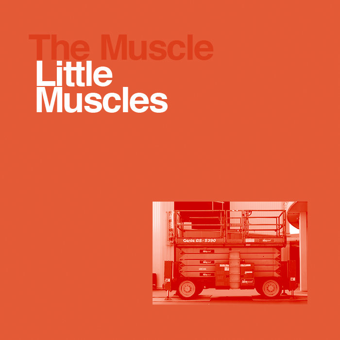 Little Muscles | The Muscle