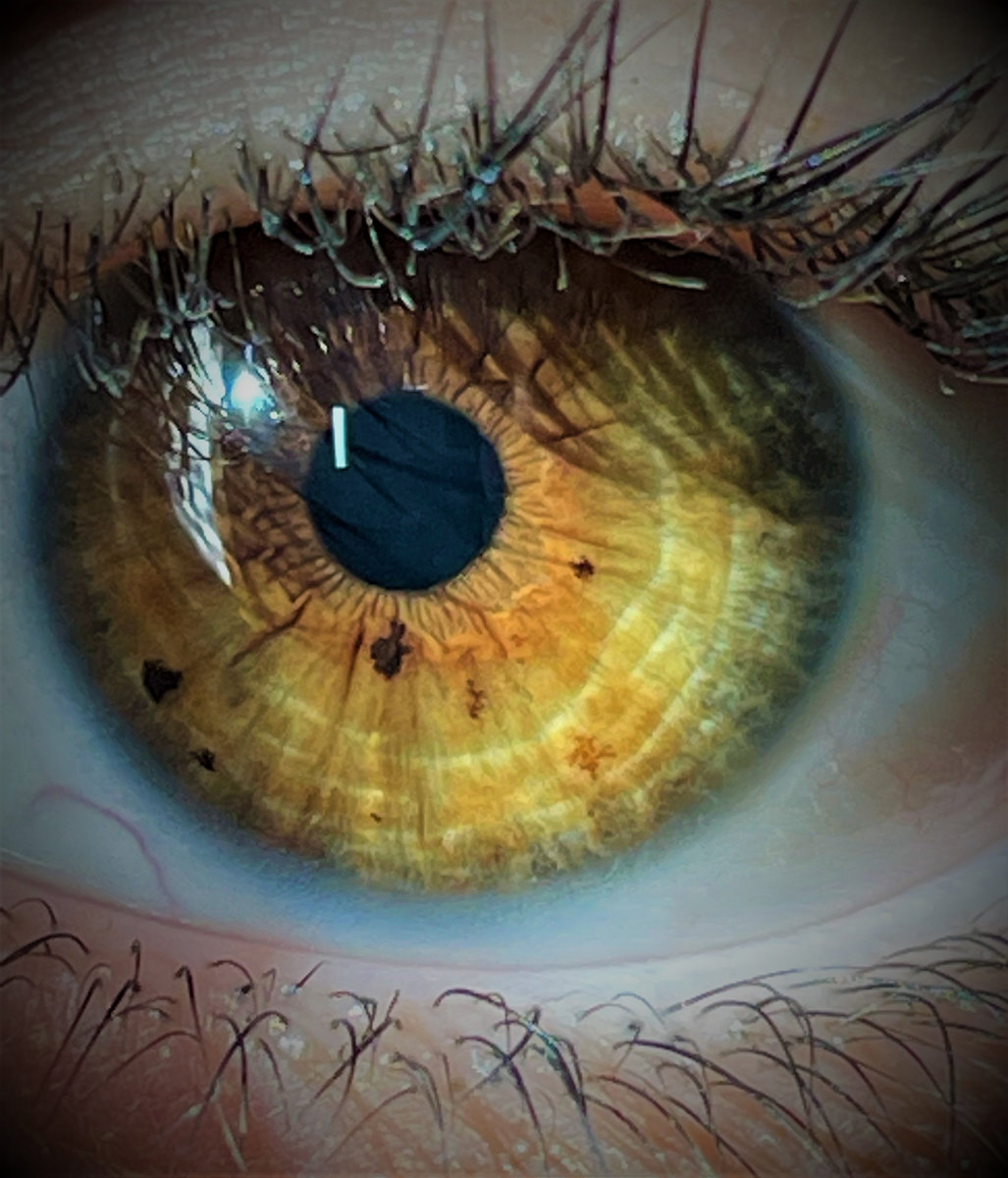 Maya's Eye | Lost Monsters