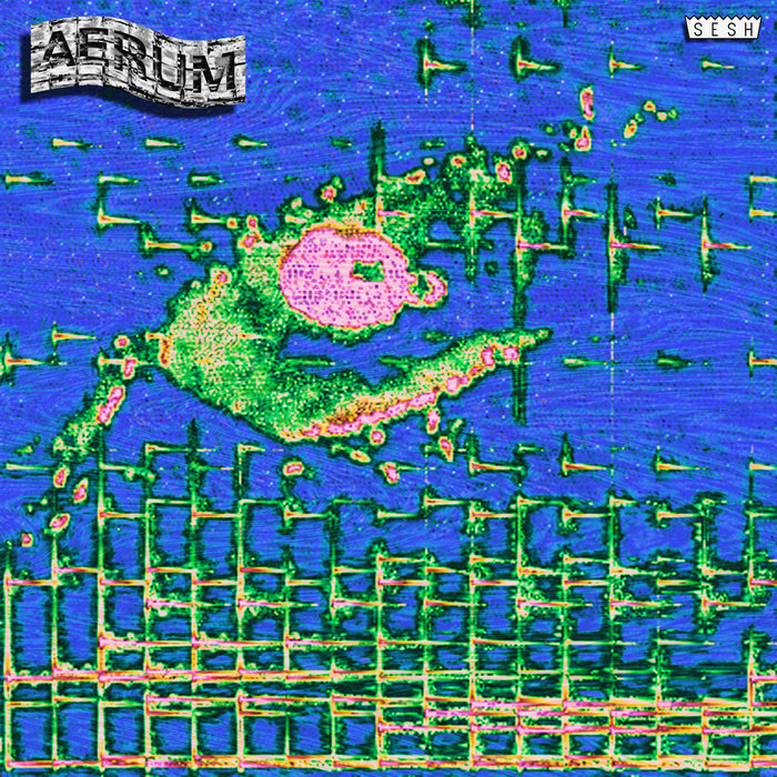 aerum | cat soup