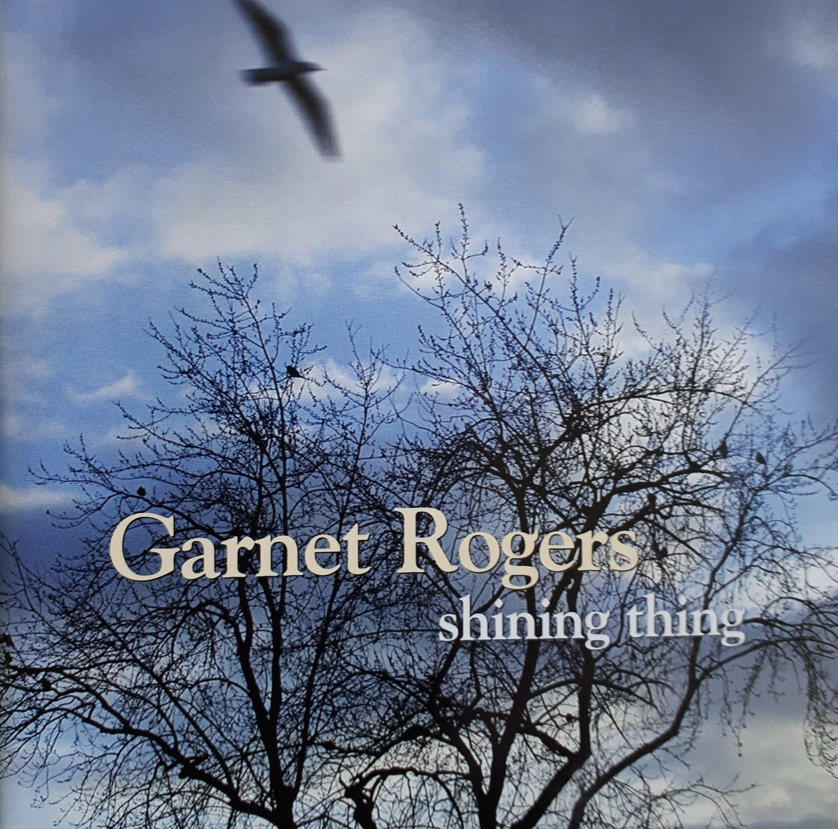 shining thing | Garnet Rogers