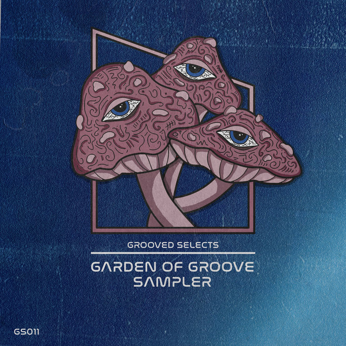 Garden Of Groove Sampler Various Artists Grooved Selects