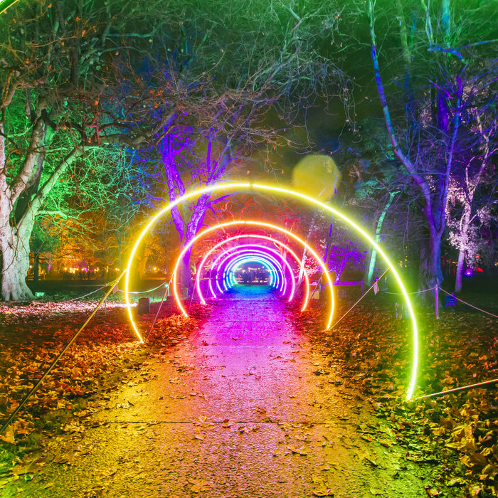 Christmas at Bute Park | Sandy Nuttgens and Jonathan Vincent | From the ...