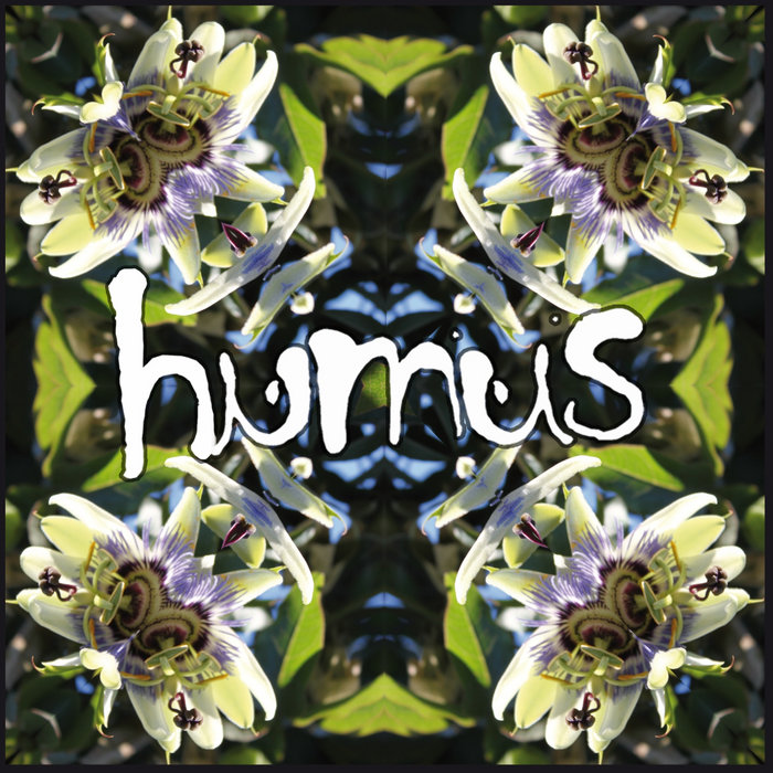 Humus | Humus | humus
