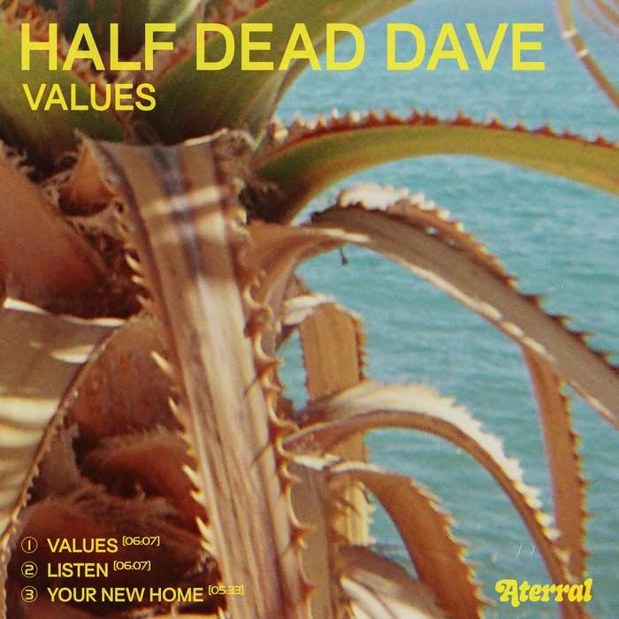Values | Half Dead Dave