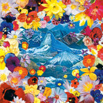 Shape Records - Limited Edition Physical Recordings since 2006