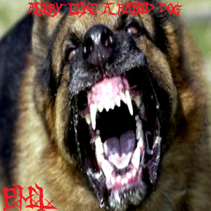 ANGRY LIKE A RABID DOG | Progressive Multifocal Leukoencephalopathy (PML)
