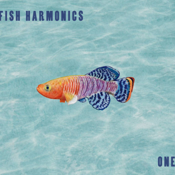 Bluefin Notho Killifish