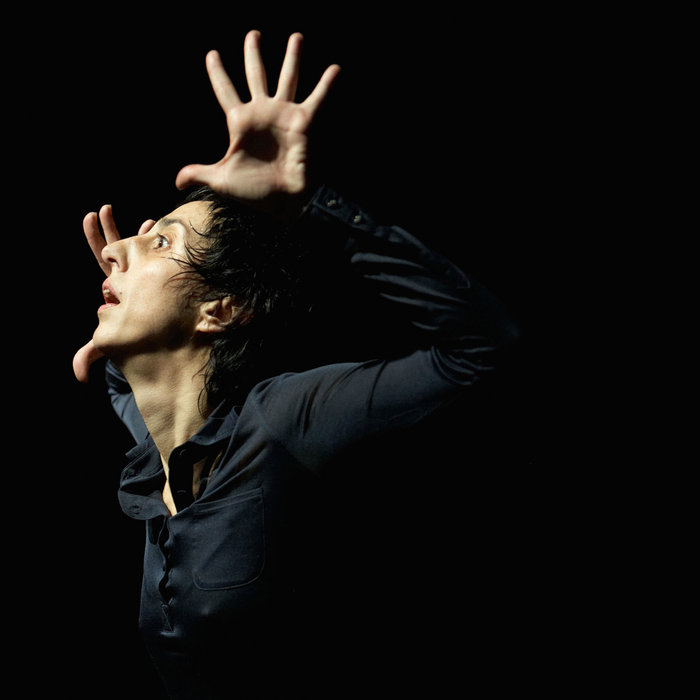 CATEXIS | Pablo Palacio | PABLO PALACIO