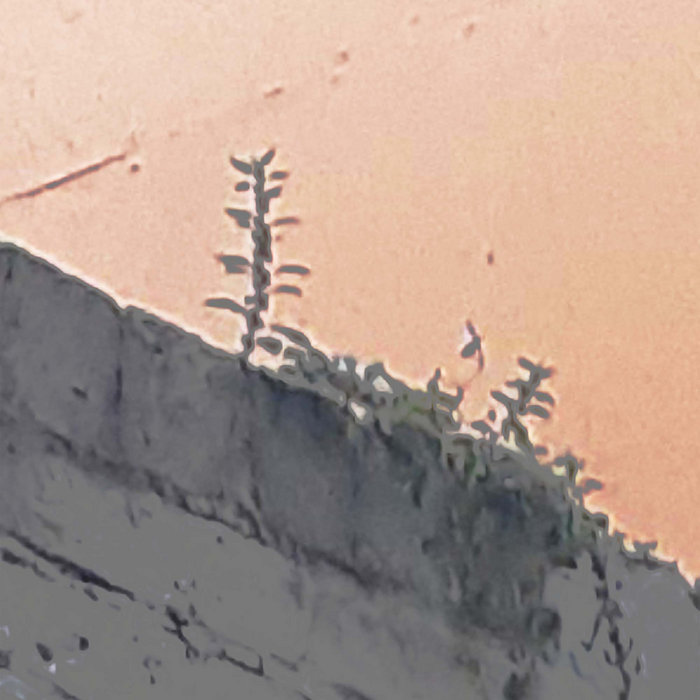 The Garden | Sam Slattery