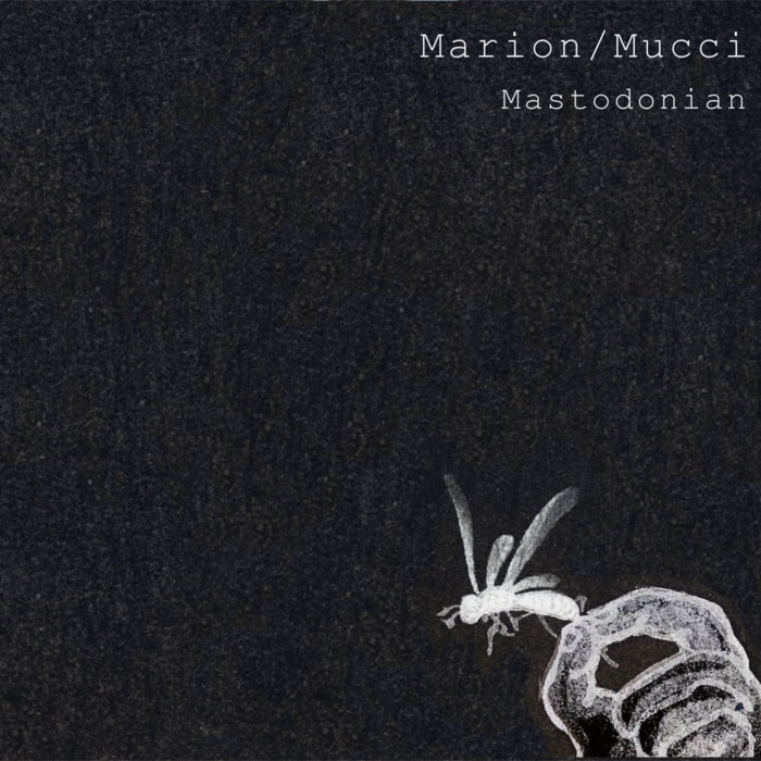 Mastodonian | Marion/Mucci | Tall House Recording Co.