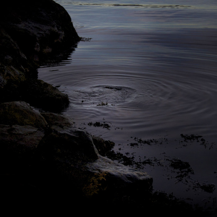 The Radar | Kevin Storm