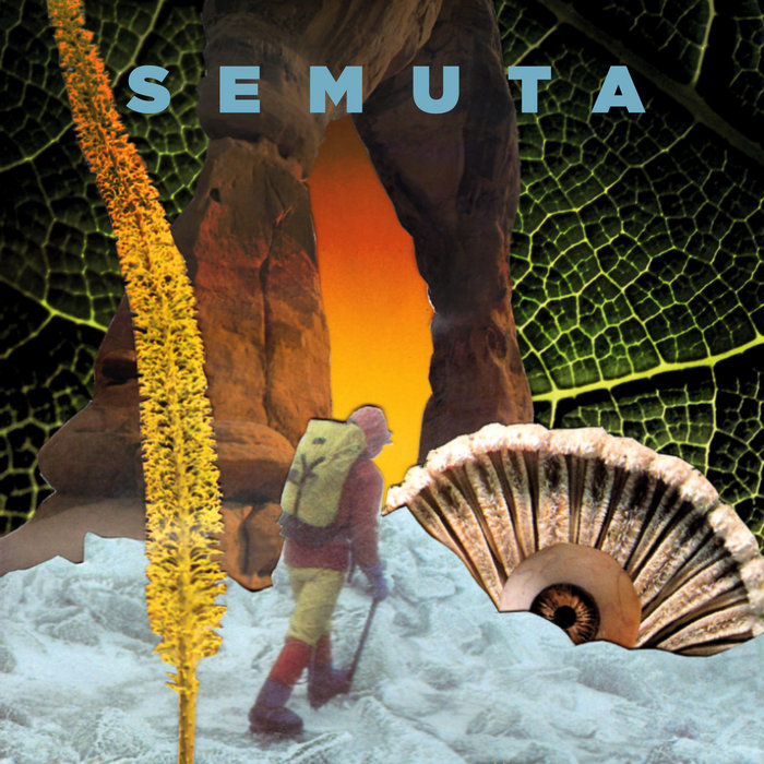 SEMUTA | SEMUTA