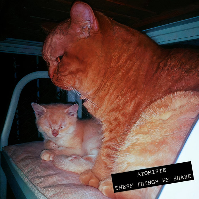 These Things We Share | Atomiste