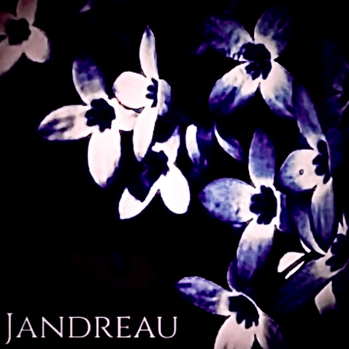 Iconography (Digital) | Jandreau