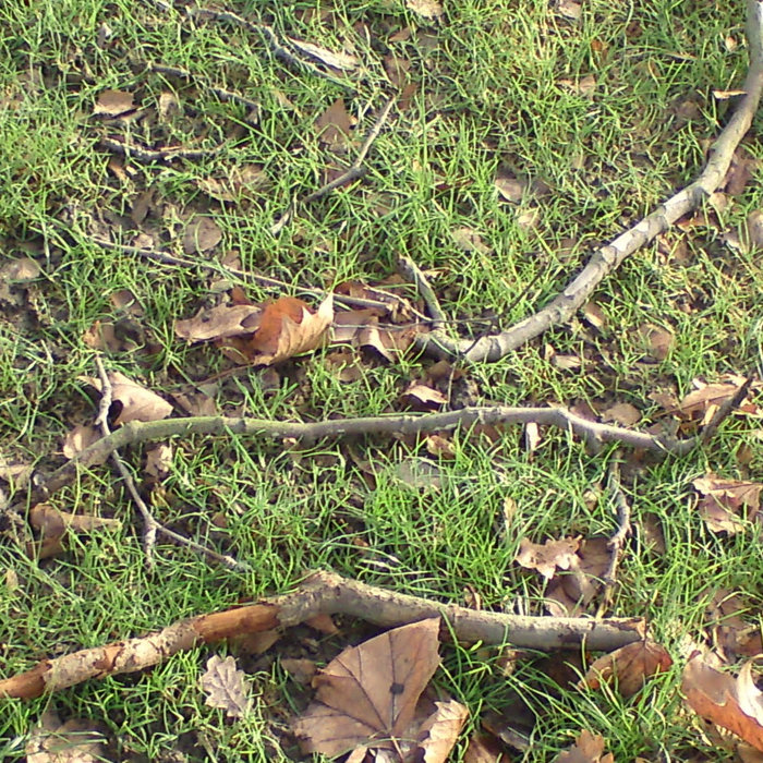 Unfortunate Stick | Whispering Egg